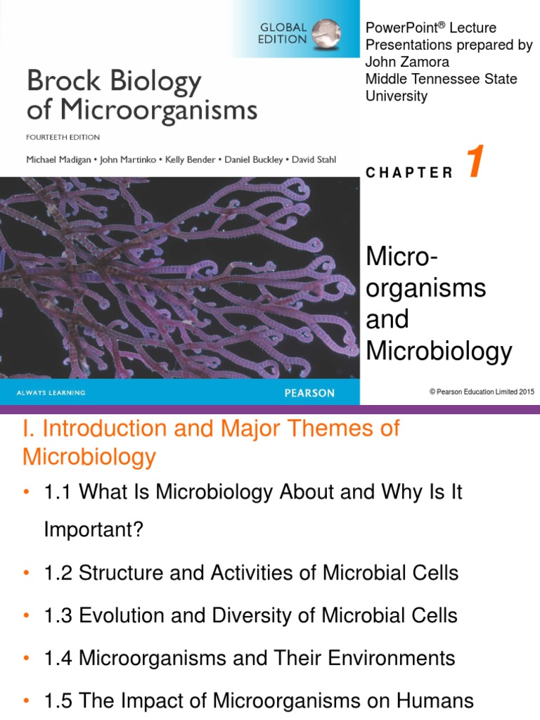 CH 01 Lecture Presentation PC | PDF | Science & Mathematics