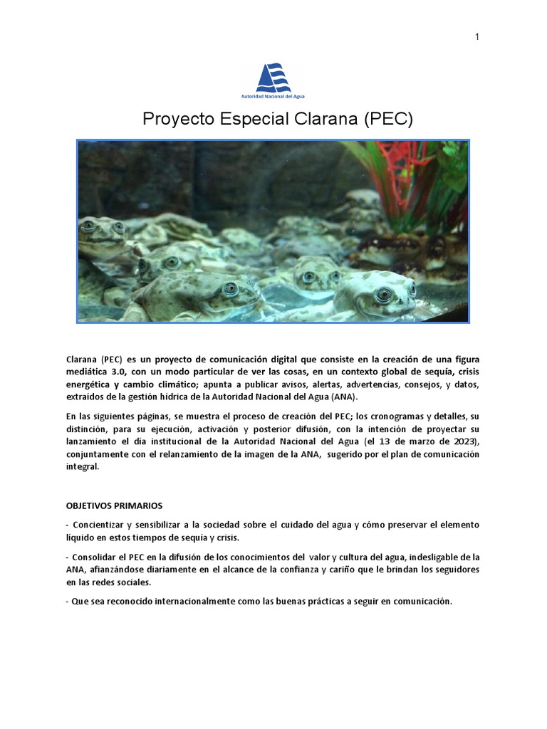 Proyecto PEC de Luis Torres Montero para La ANA | PDF | Agua | lago