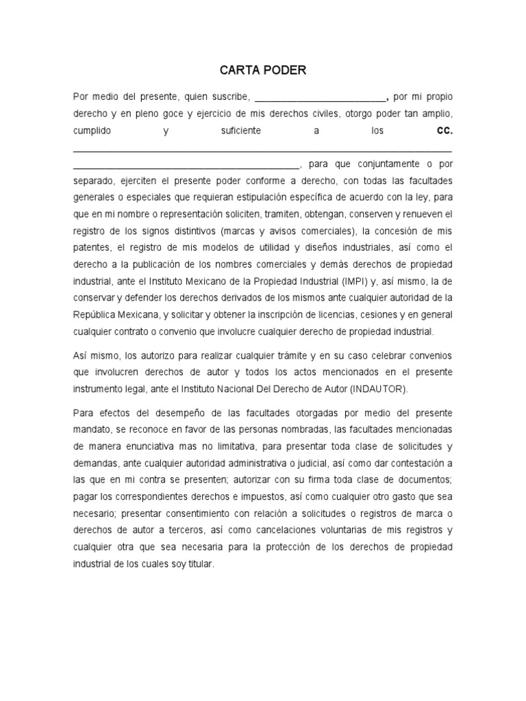 Carta Poder en Blanco Pi | PDF | Patentar | Propiedad