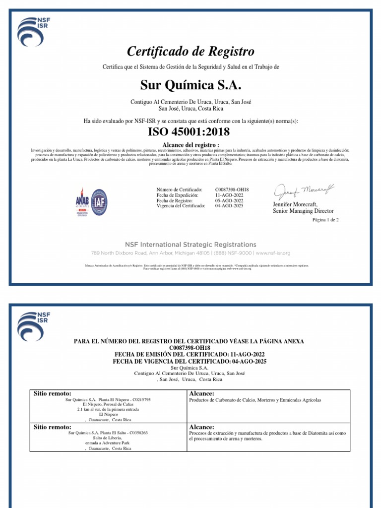 Certificado ISO 45001 PDF | PDF