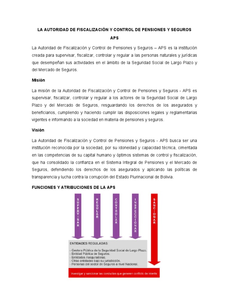 Funciones de la APS en Bolivia | PDF