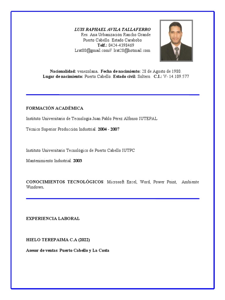 Curriculum Luis Pto PDF | PDF