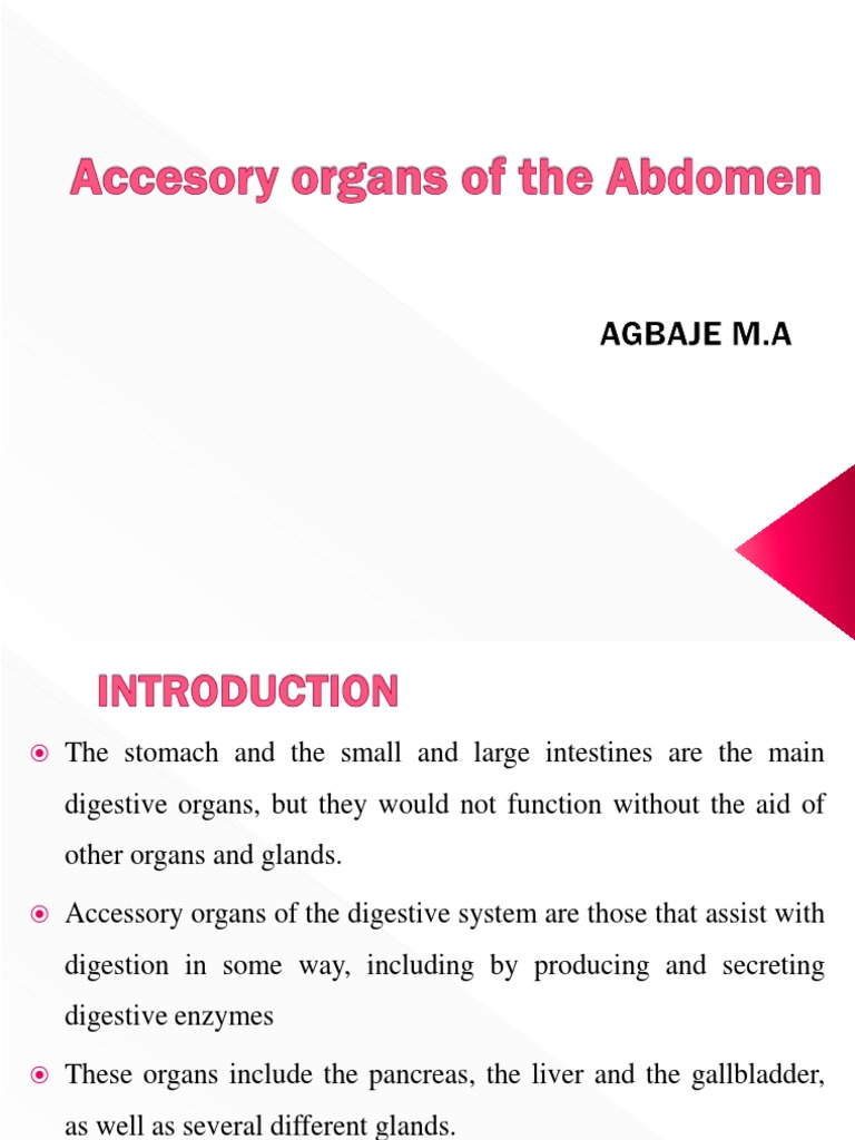 Accessory Organ of The Abdomen | PDF | Liver | Pancreas