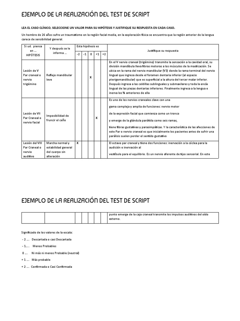 Ejemplo De La Realización Del Test Script Pdf Nervio Sistema Nervioso