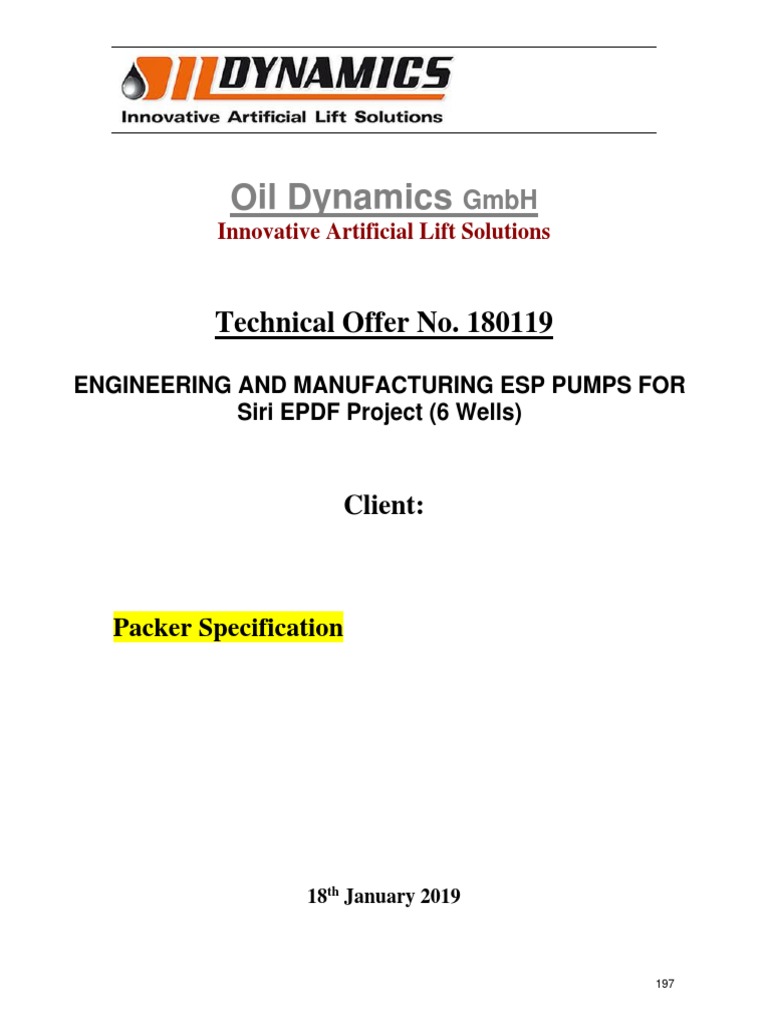 Packer Specification | PDF | Equipment | Mechanical Engineering