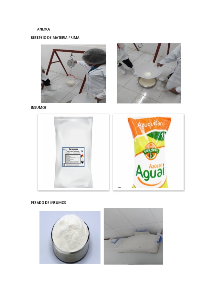 Anexos de Flan | PDF