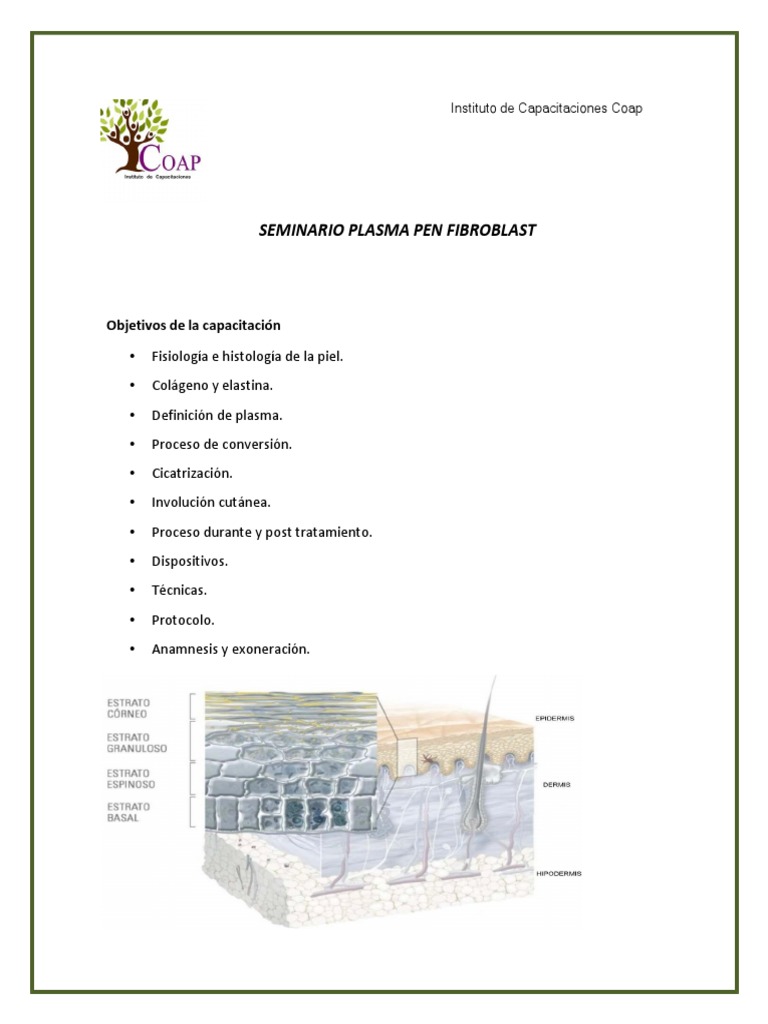 Curso Plasma Pen Fibroblast Coap Lorena Villalobos | PDF | Colágeno ...