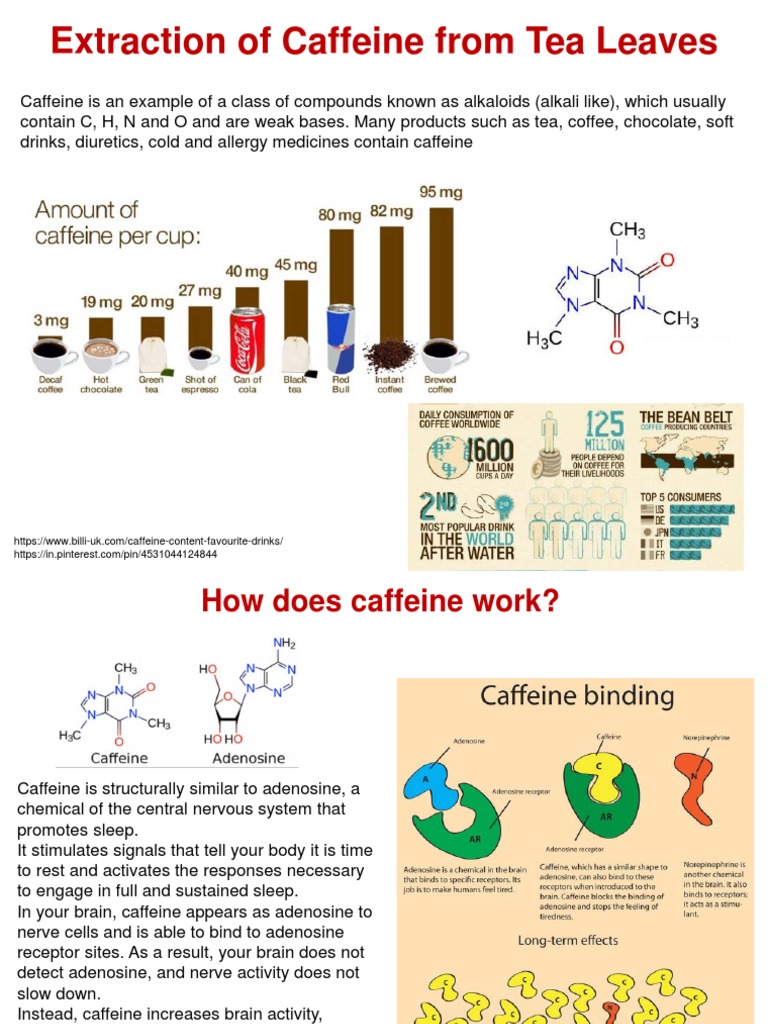 Purification of Caffeine from Tea Leaves | PDF | Caffeine | Tea