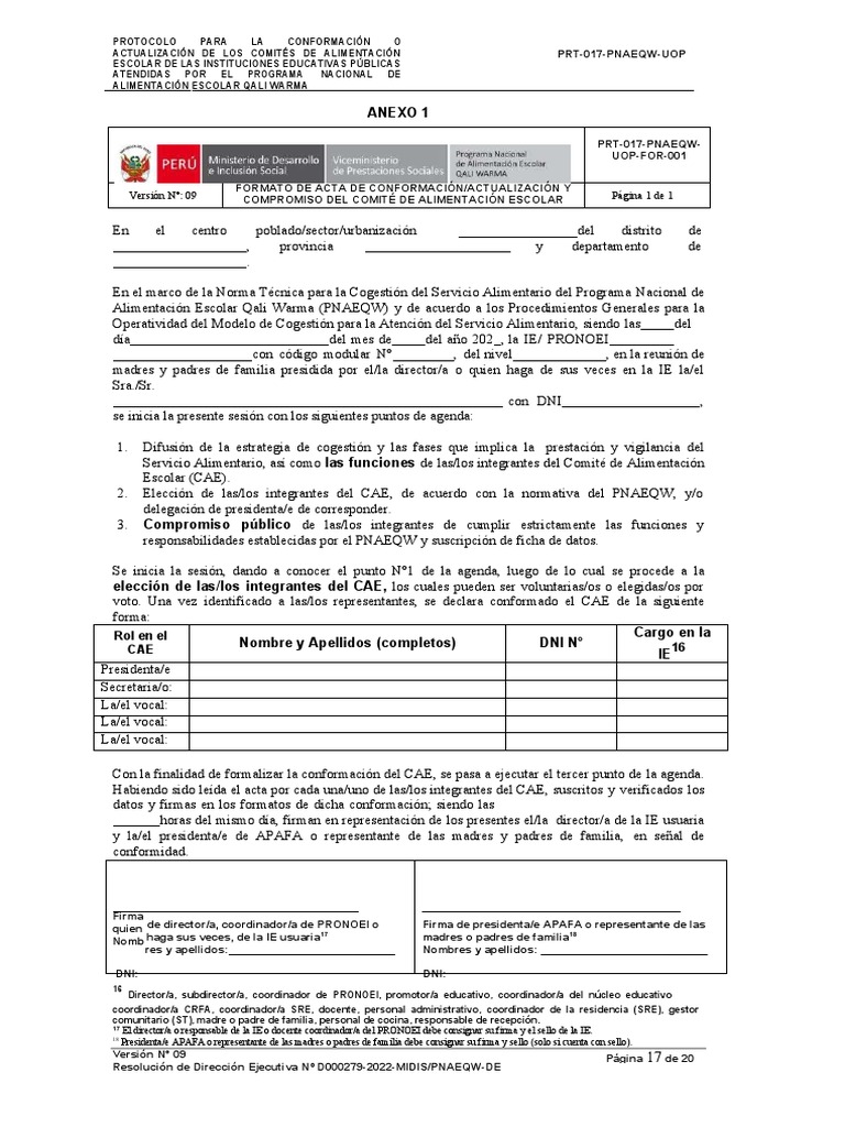 Formato Conformacion Cae 2023 Version 9 Anexo 1 y 2 | PDF