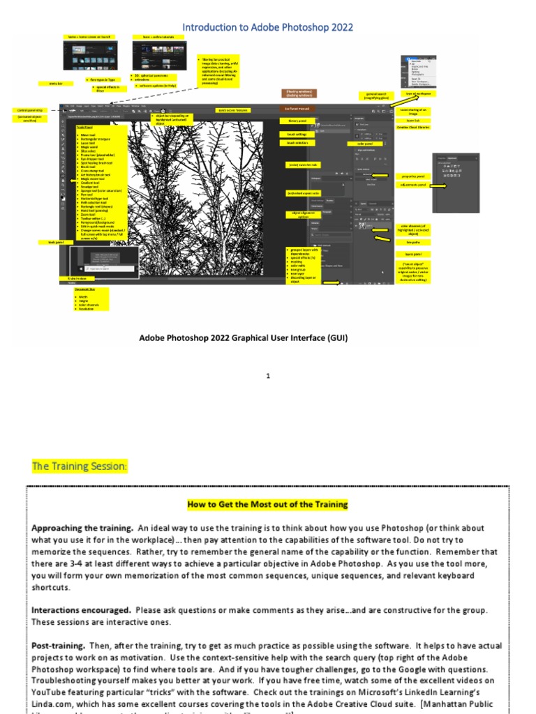 Intro Adobe Photoshop Handout | PDF | Adobe Photoshop | Adobe Illustrator