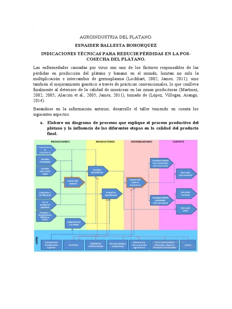 Cadena Productiva del Plátano en Colombia | PDF | Cosecha | Agricultura