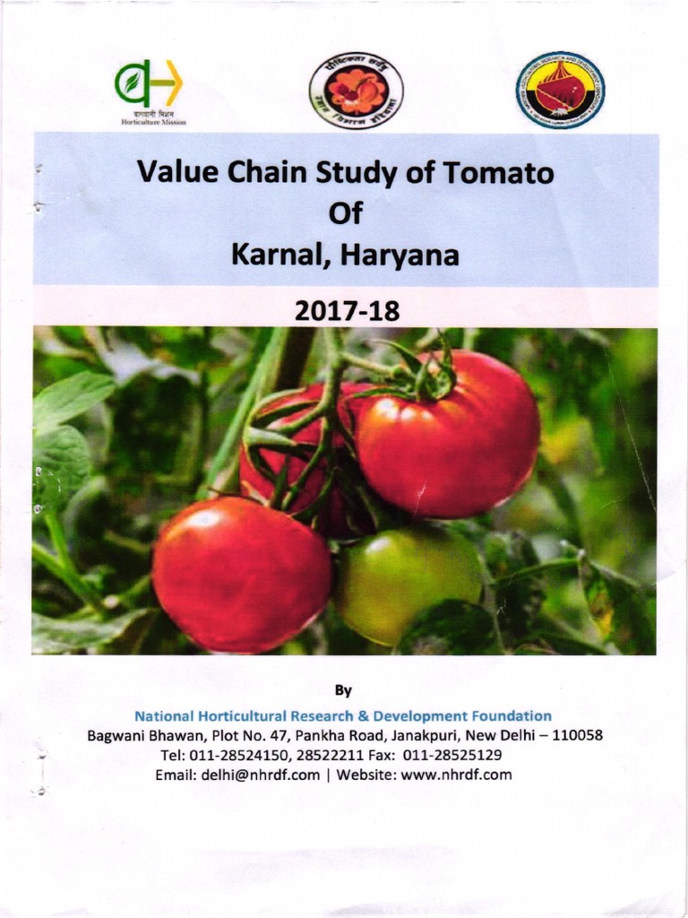 18-Tomato Value Chain Karnal Haryana PDF | PDF | Agriculture | Vegetables