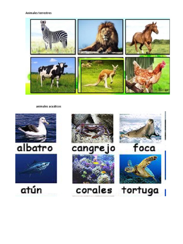 Animales Terrestres | PDF | Hogar, jardinería y bricolaje | Ciencia y ...