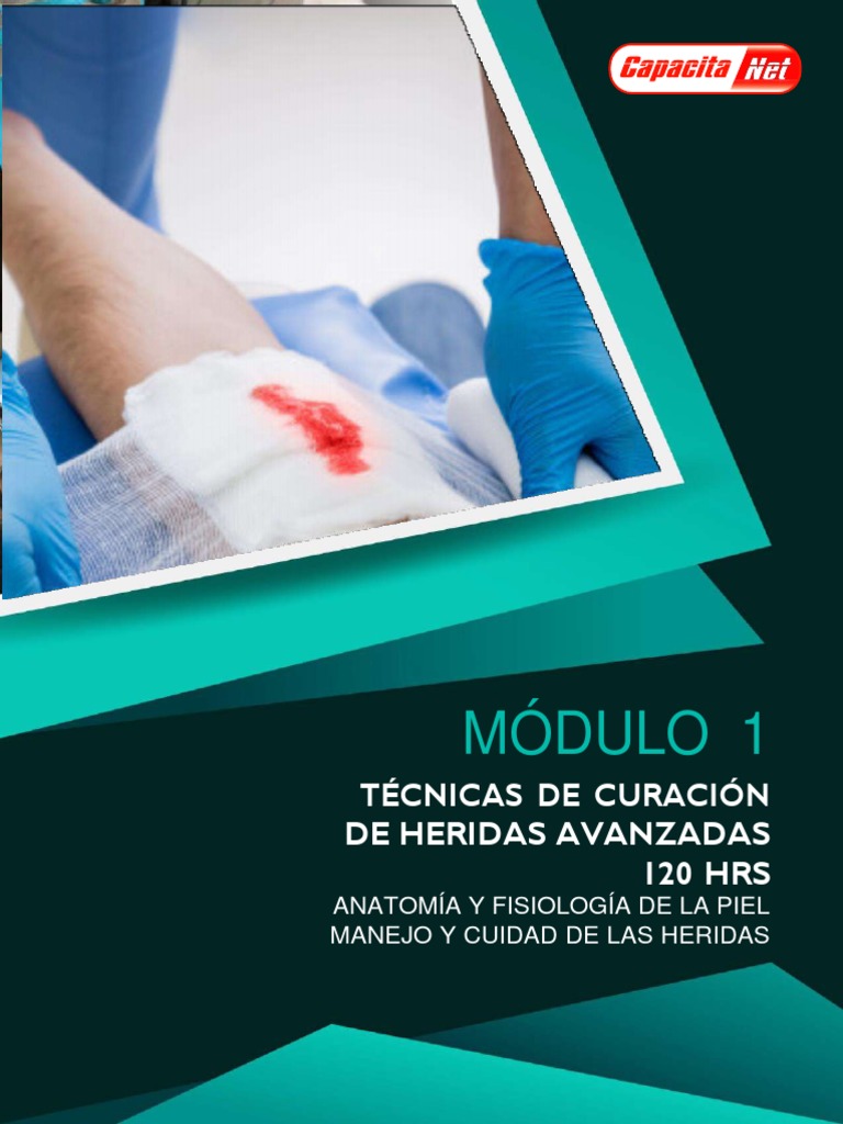 MATERIAL DEL MODULO 1 - Compressed PDF | PDF | La matriz extracelular | Epidermis