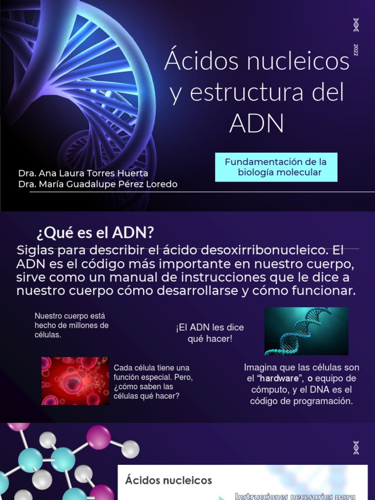 Acidos Nucleicos | PDF | Rna | Adn