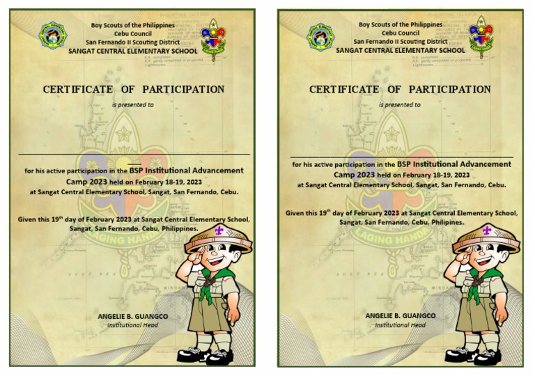CERTIFICATE BSP Bata | PDF