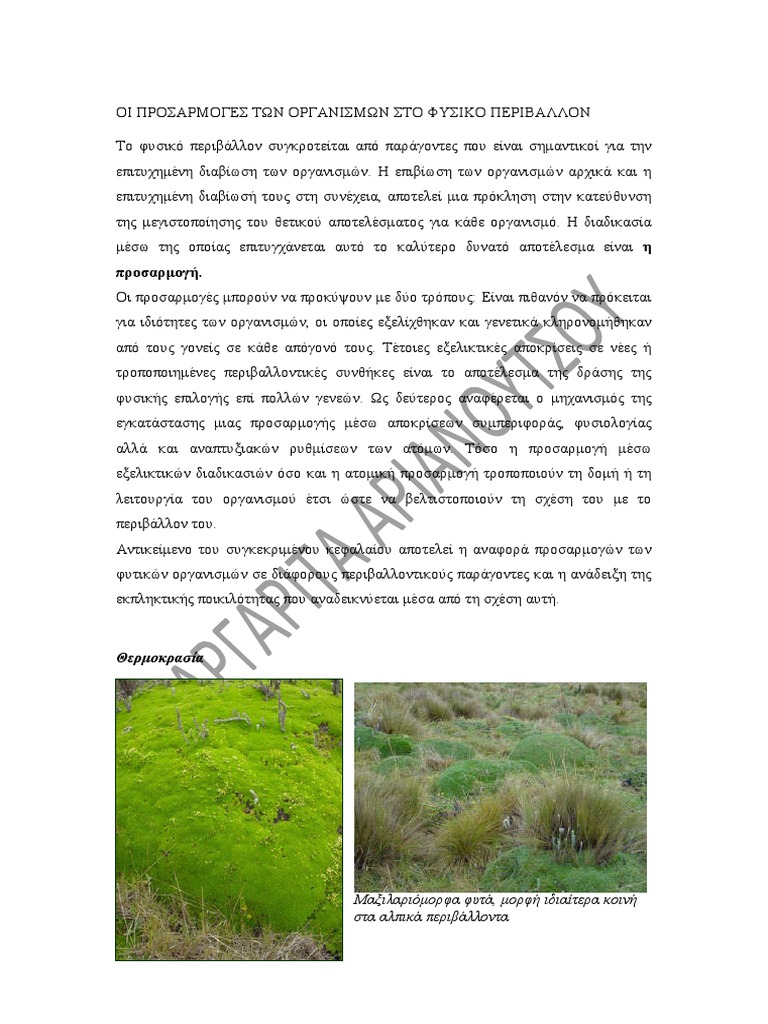 Plant Adaptations | PDF