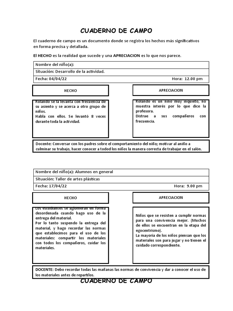 Modelo - Cuaderno de Campo | PDF