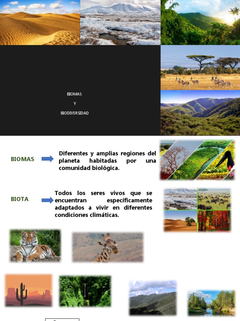 BIOMAS | PDF | Ciencias de la Tierra | Entorno natural