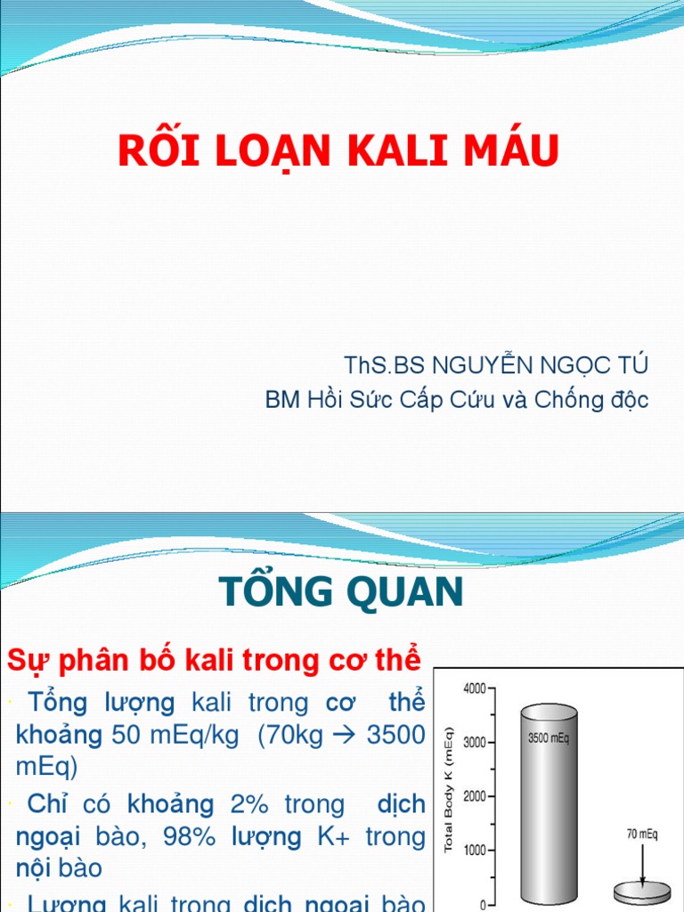 ROI LOAN KALI MAU - THS - BS - Tu PDF | PDF