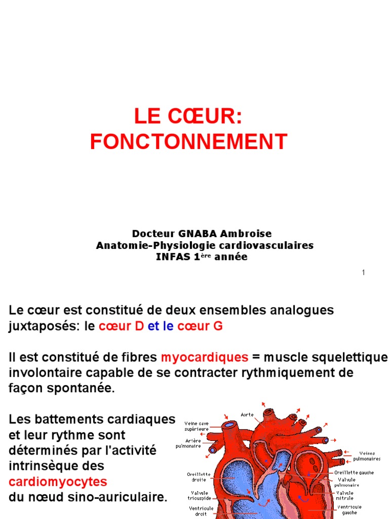 Définition de l'effet ionotrope | PDF | Cœur | Sang