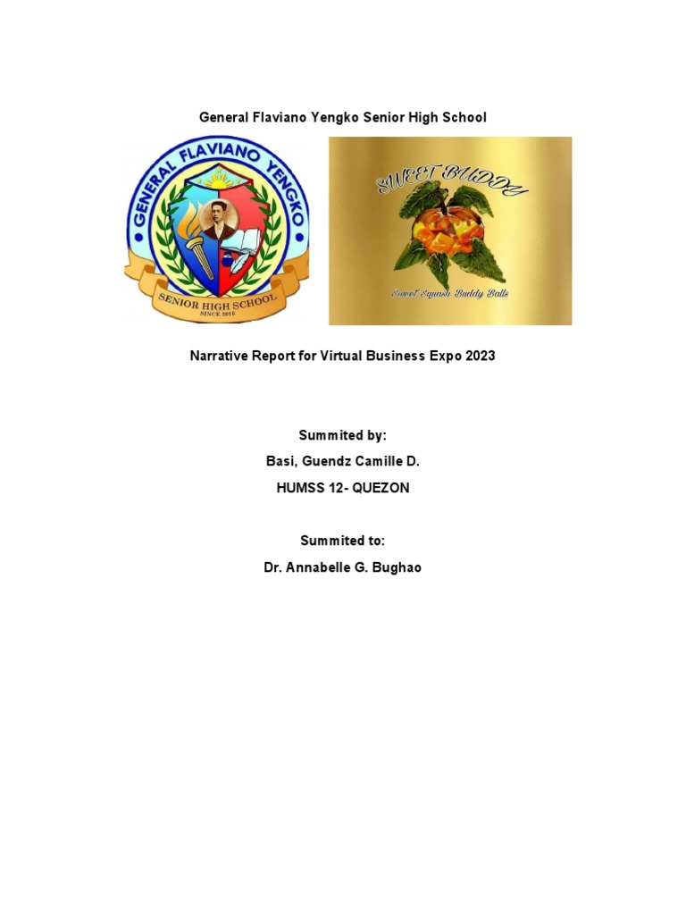 Individual Narrative Report in Entrep | PDF