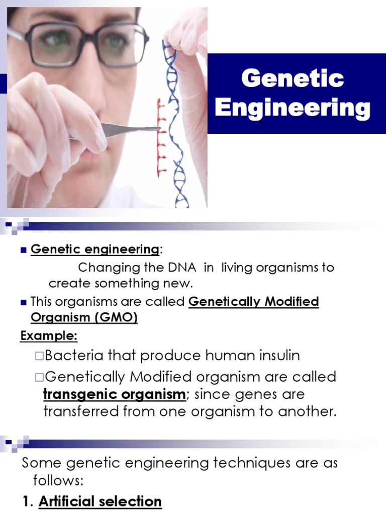 Genetic Engineering DISCUSSION PDF | PDF | Ploidy | Molecular Cloning