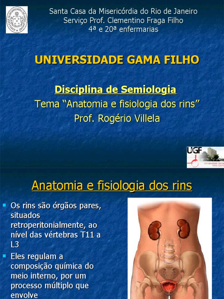 Anatomia e Fisiologia Do Rim 2009 | PDF | Rim | Anatomia animal