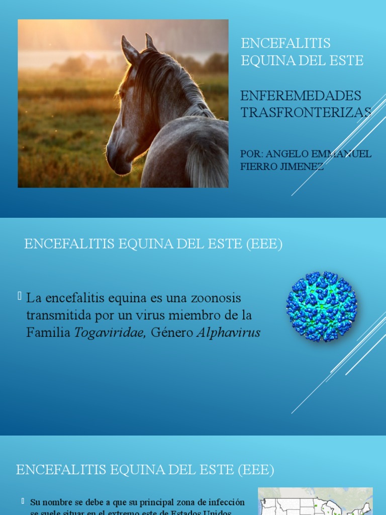 Encefalitis Equina del Este: Diagnóstico y Prevención | PDF ...