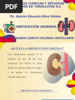 Obstrucción y Estasis Urinaria: Diagnóstico y Tratamiento | PDF ...
