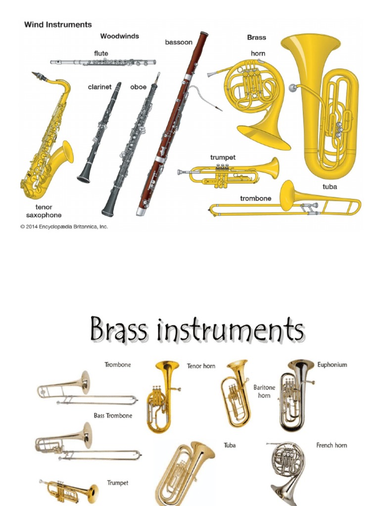 Percussion, Wind Family | PDF