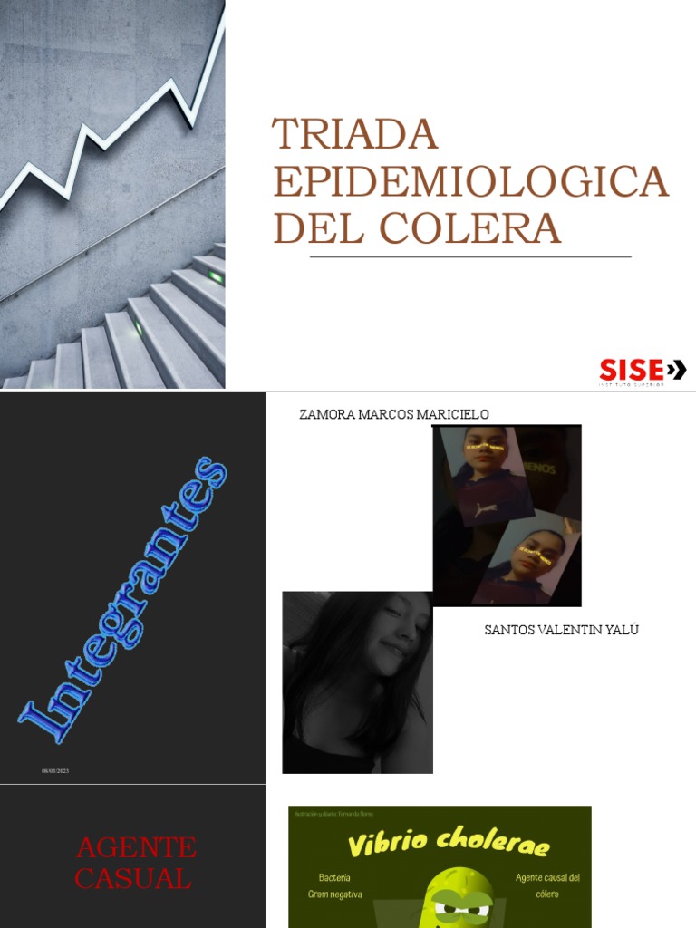 Triada Epidemiologica Del Colera | PDF