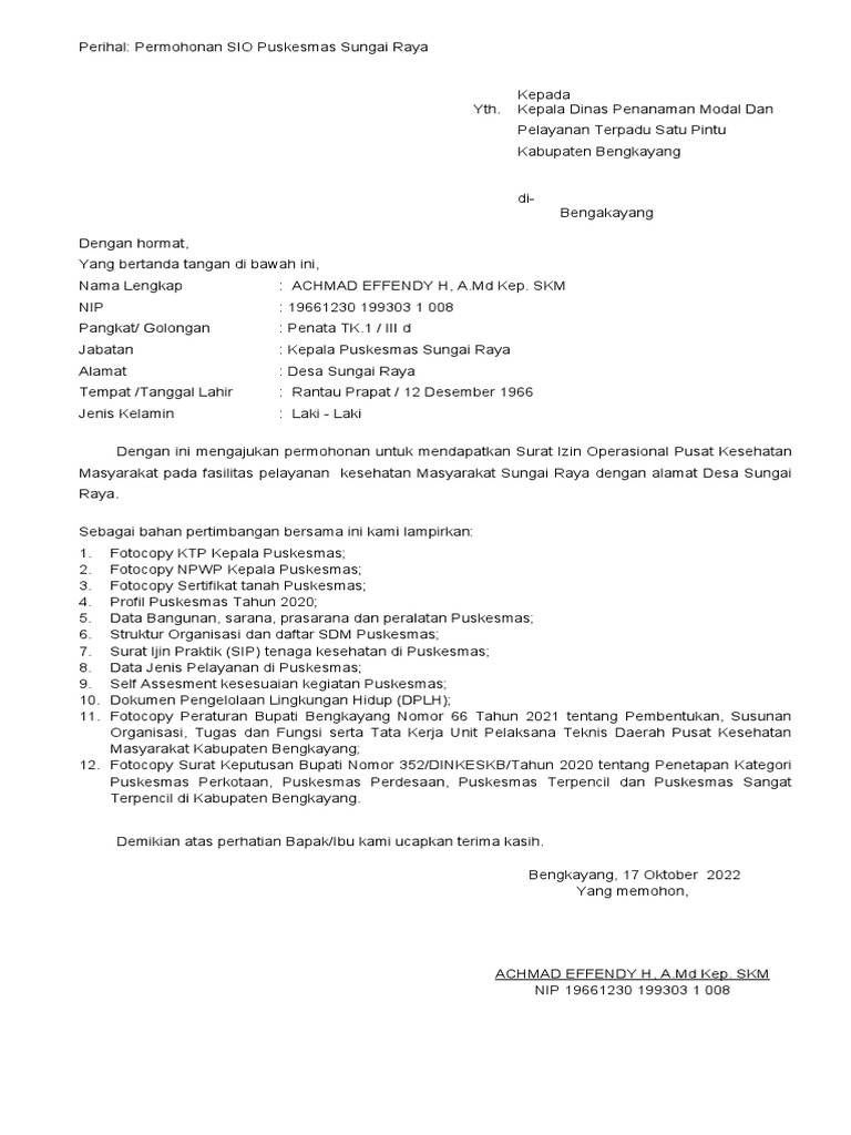 SIO Puskesmas | PDF