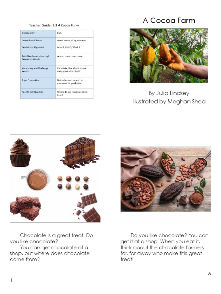 The Journey of Cocoa to Chocolate | PDF