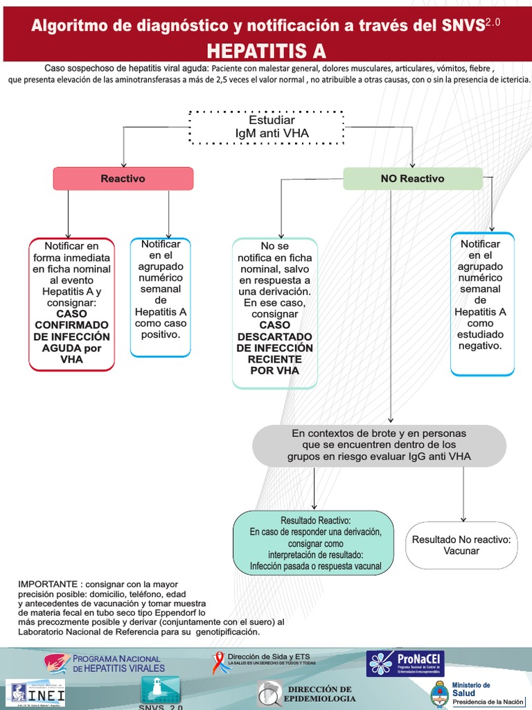 Algoritmo De Diagnostico Notificacion Snvs2 0 Hepatitis A Pdf