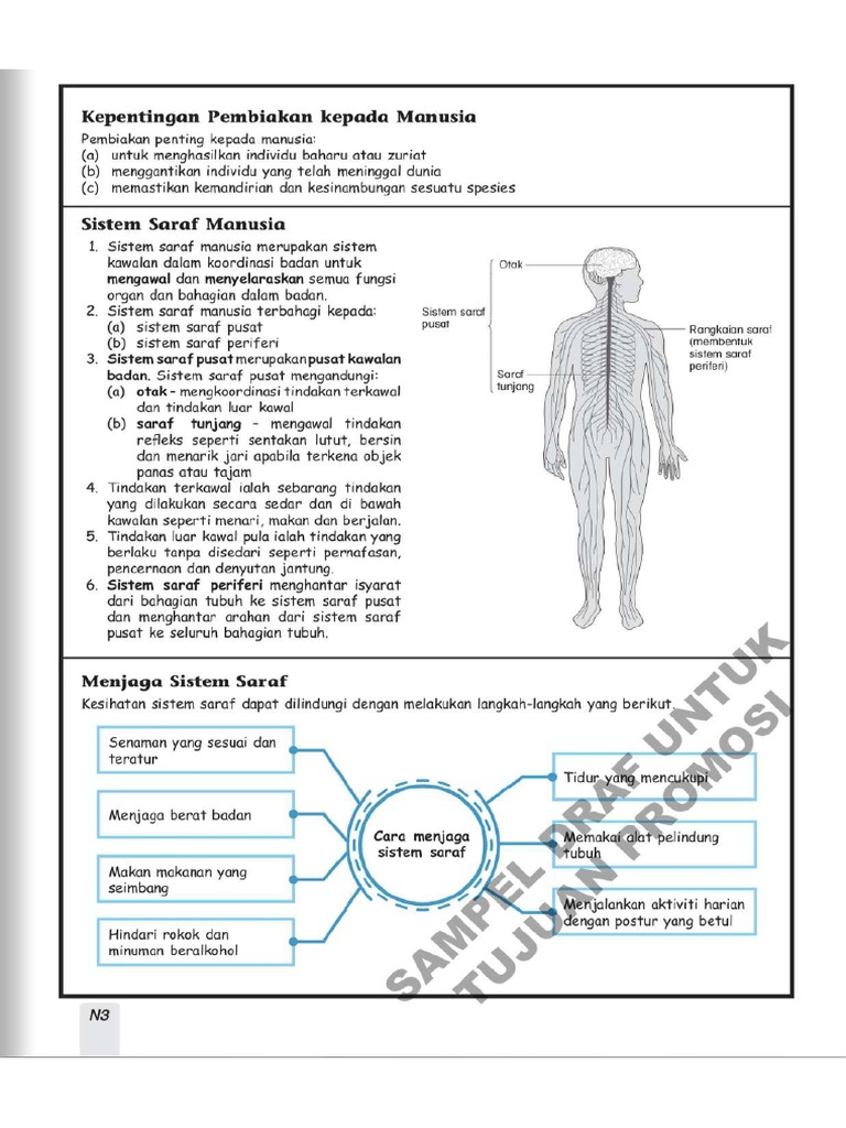 Nota Ringkas Sains Tahun 6 PDF | PDF
