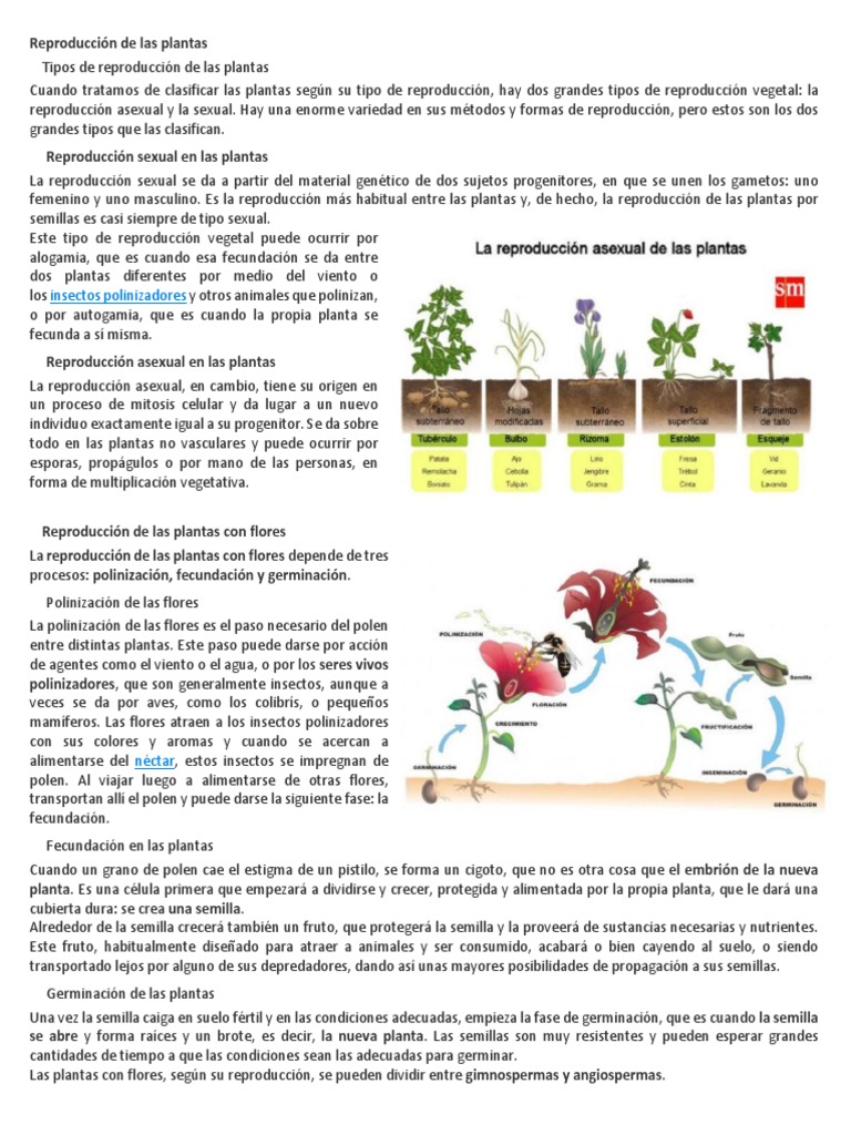 Reproducción de Las Plantas | PDF | Reproducción de plantas ...