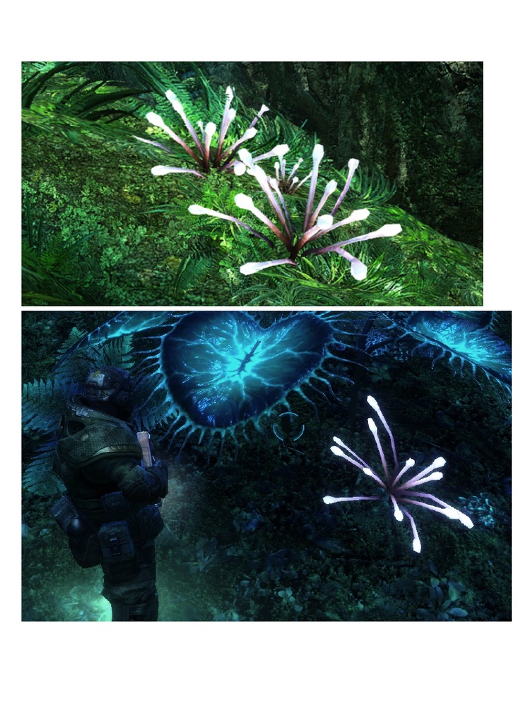 Flora de Pandora | PDF