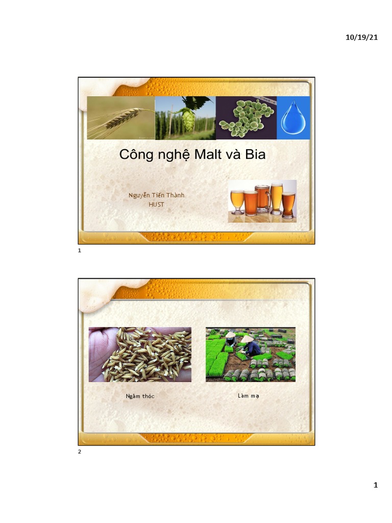 CN Malt Va Bia - CN SX Malt Dai Mach 2021 PDF | PDF