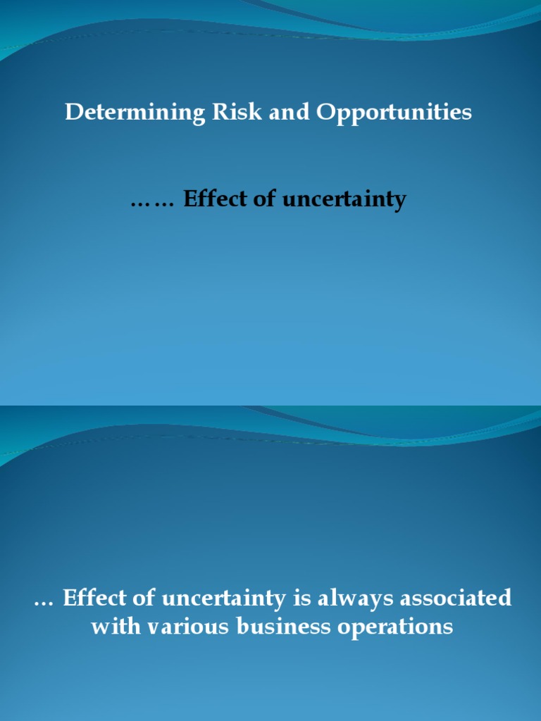 04 IMS Risk and Opportunities | PDF | Risk | Financial Risk