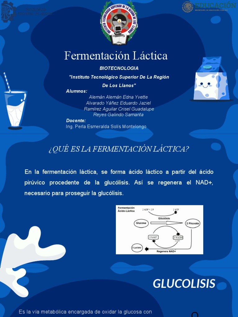 Fermentación Láctica: Proceso y Aplicaciones | PDF