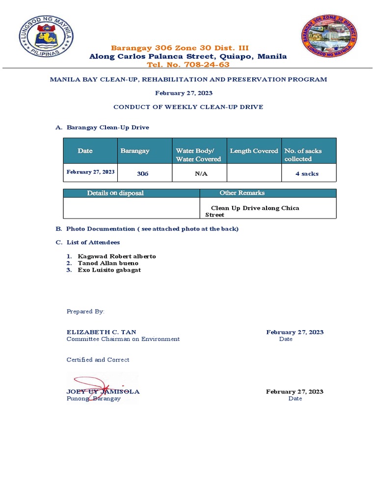 Barangay 306 Clean-Up Drive Report | PDF