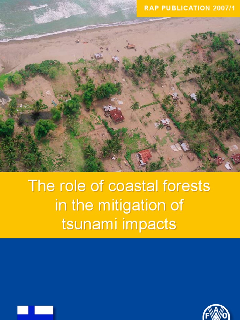 Coastal Forest Defense | Tsunami | Mangrove