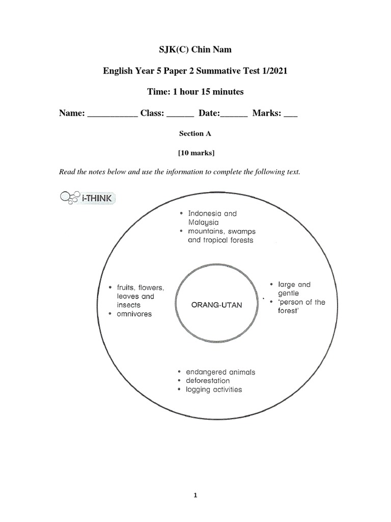English Year 5 Paper 2 Summative Exam 1 2021 | PDF