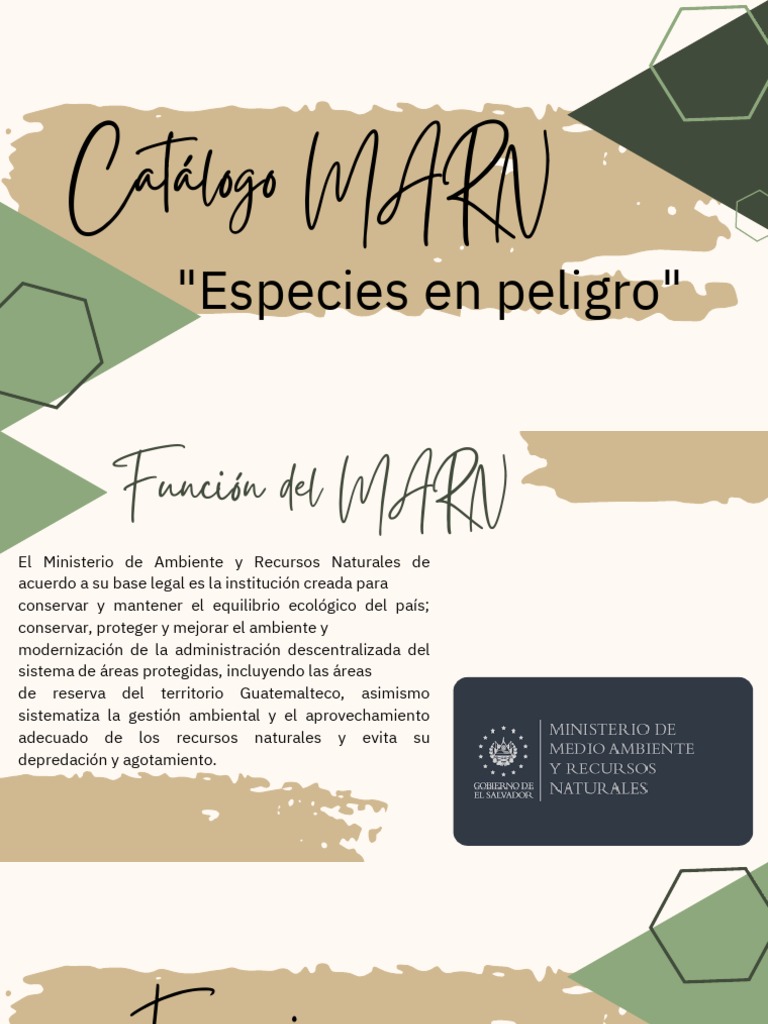 MARN (Especies en Peligro) | PDF | Especie en peligro | Destrucción del ...