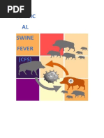 Swine Terminology | PDF | Pig | Livestock