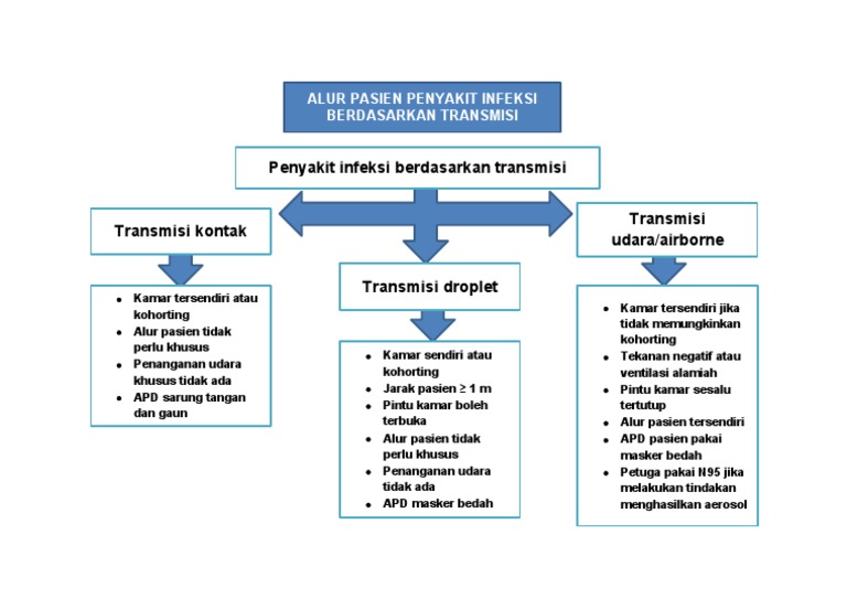 Alur Pasien Penyakit Infeksi Berdasarkan Transmisi | PDF