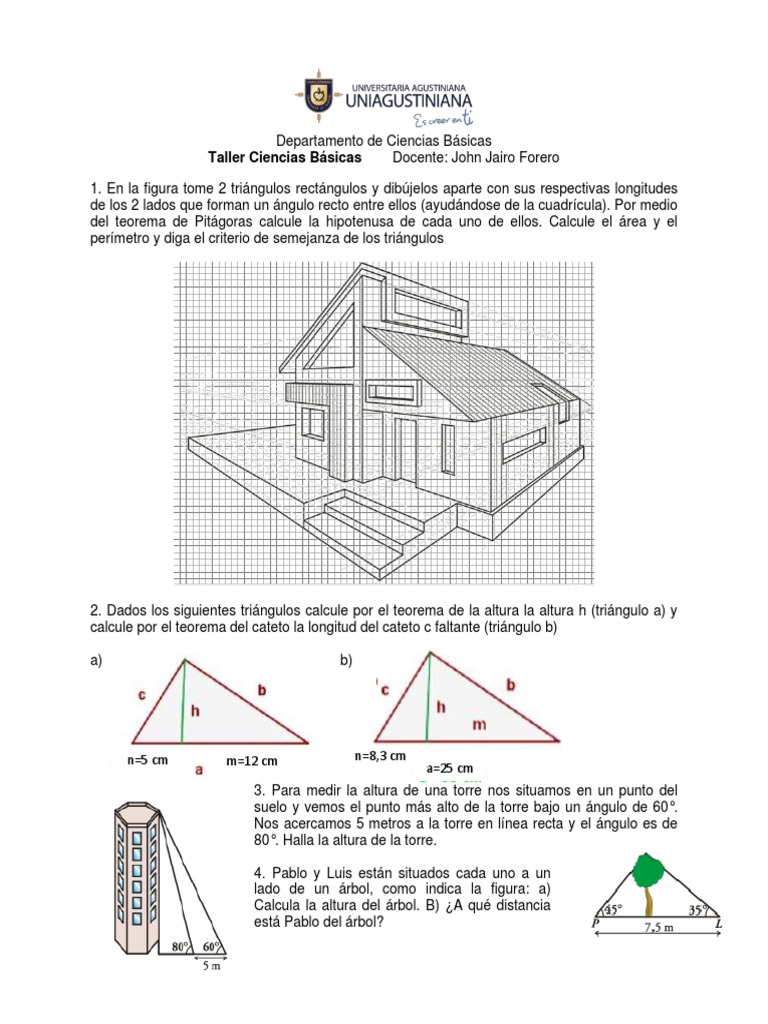Taller Triangulos | PDF | Triángulo | Matemática Elemental