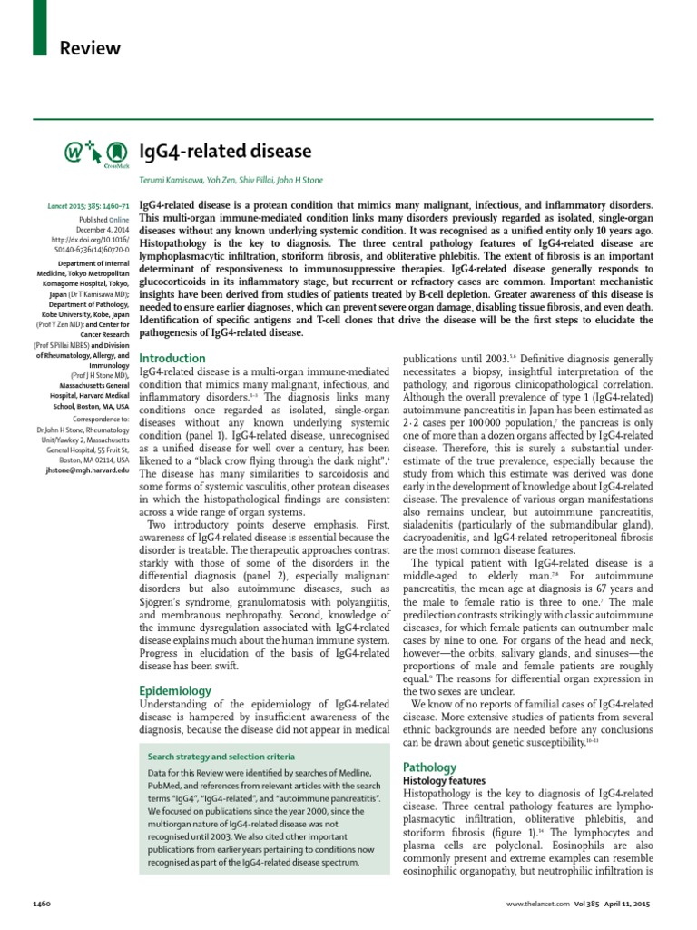 IgG4 Related Disease | PDF | Immunoglobulin G | T Helper Cell