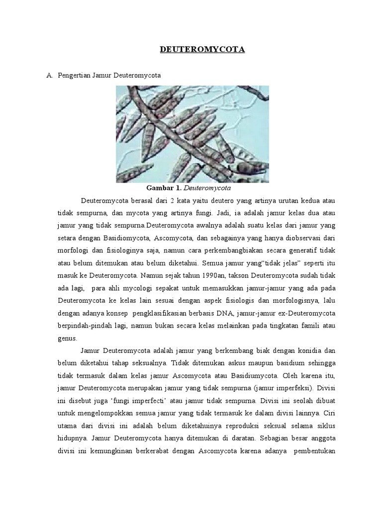 Tugas Deuteromycota | PDF